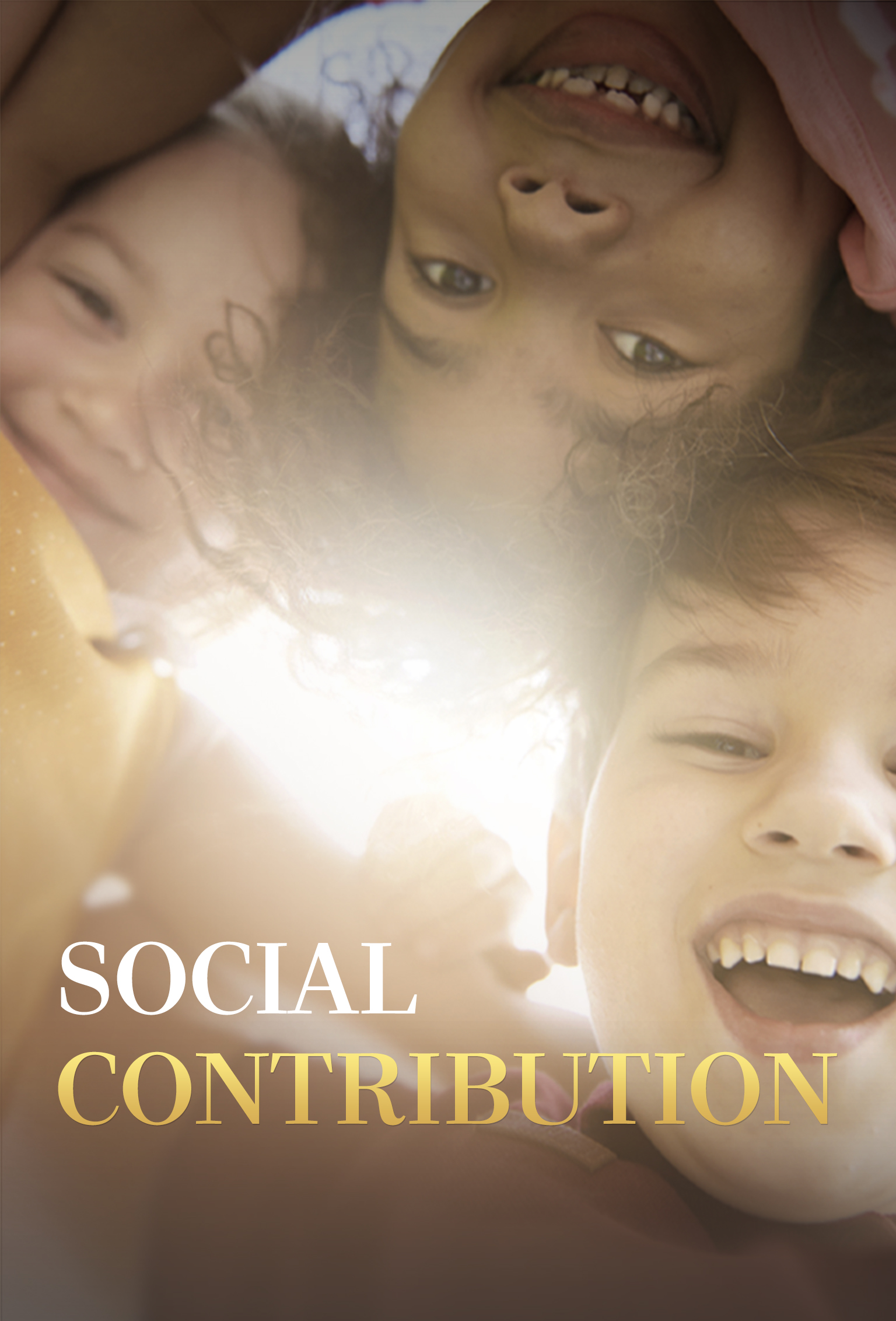 Social Contribution